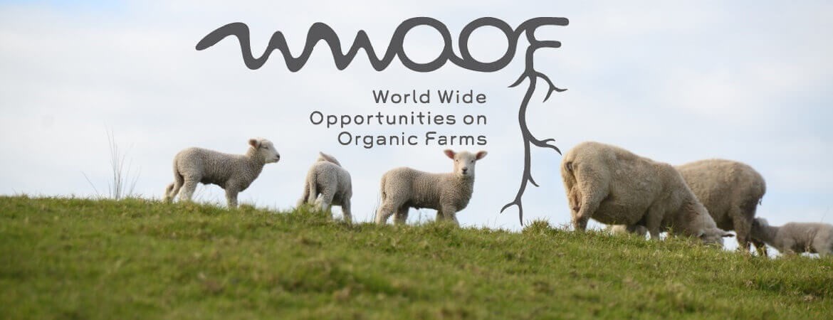 Vivez l’expérience du woofing avec des producteurs et des agriculteurs ...